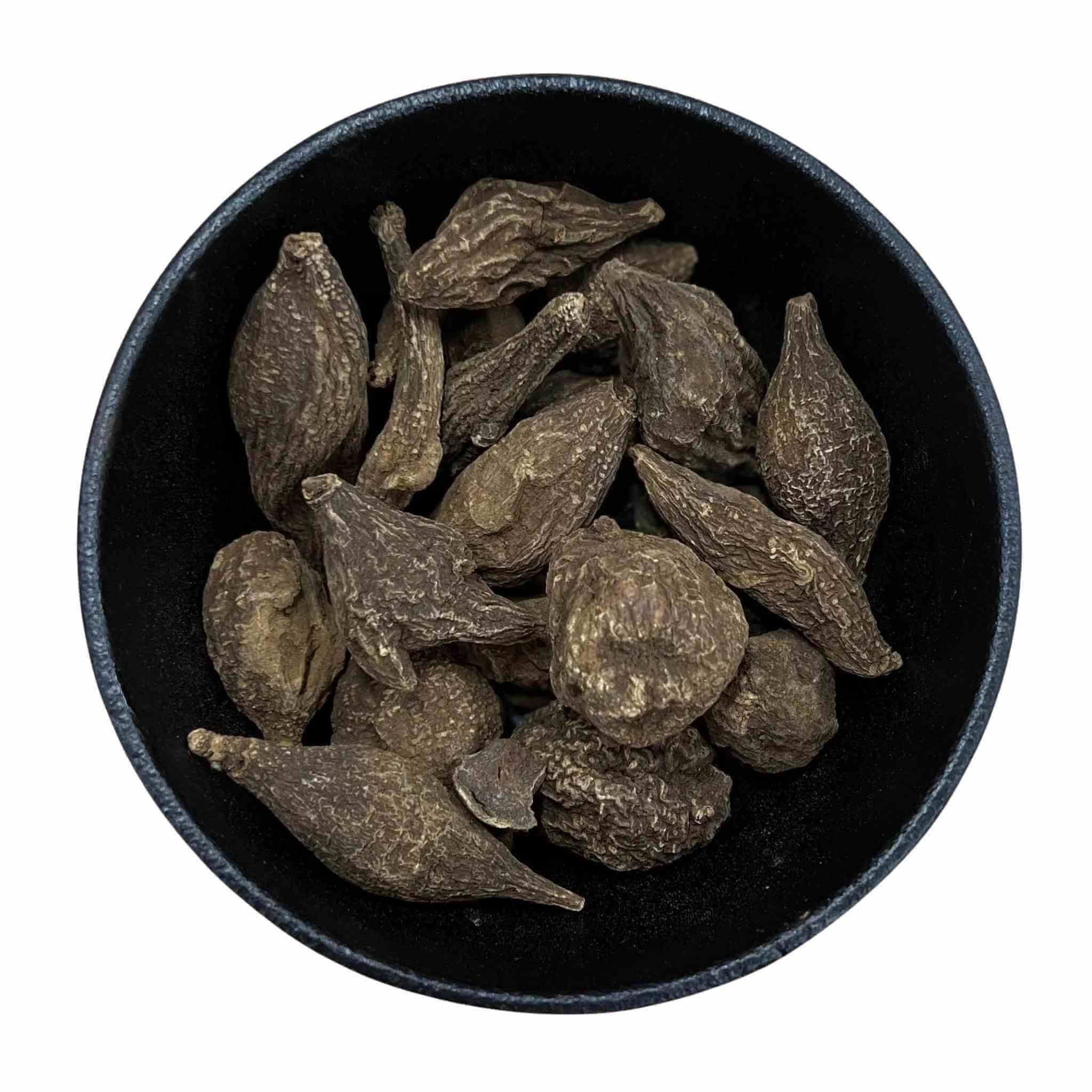 High John Herb: Magic in Nature – Down To Earth