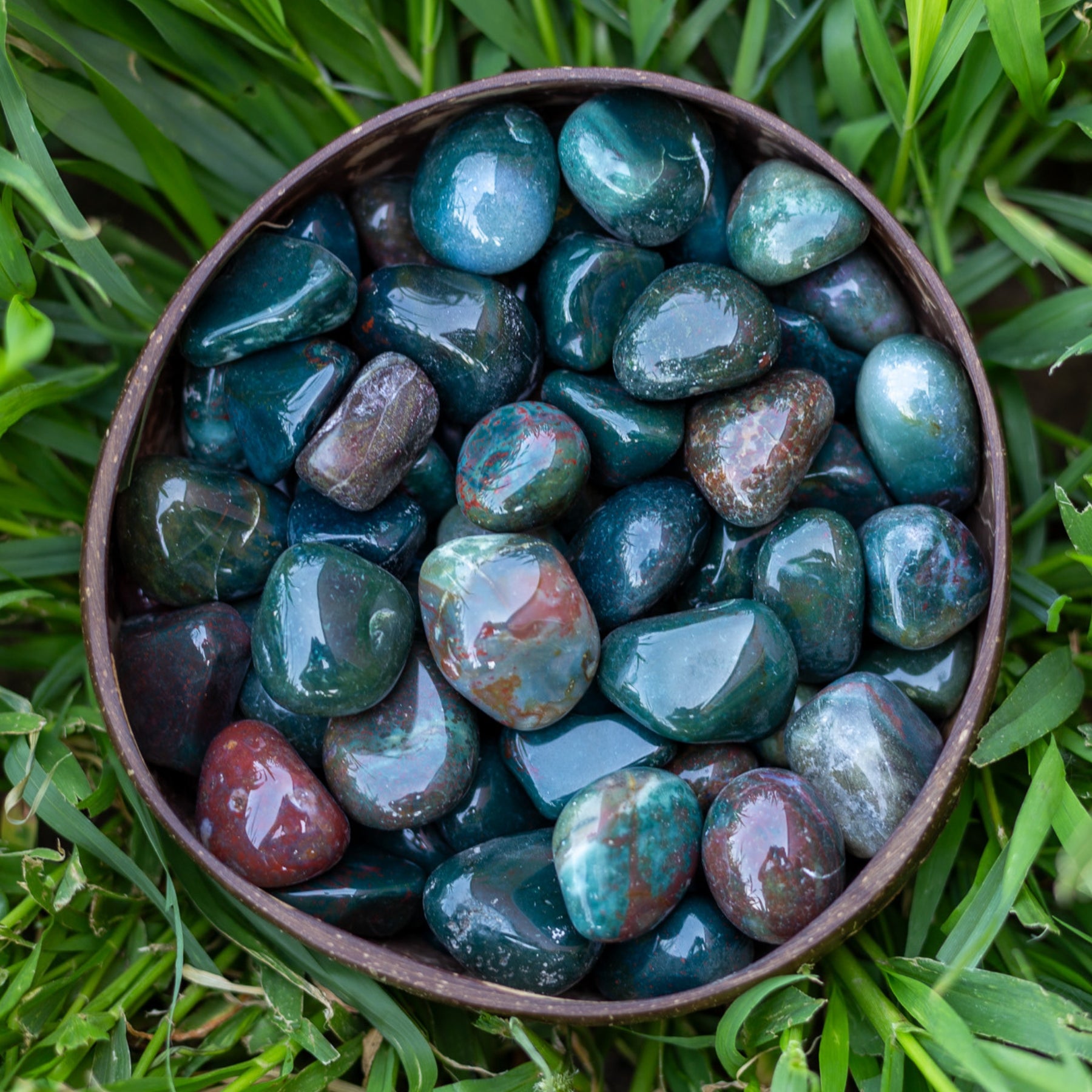 Polished Potency: Tumbled Bloodstone gemstones bulk 1lb – Down To Earth